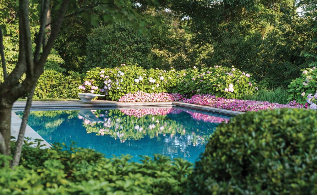 Lavish Tranquil Retreat - D. A. Dunlevy
