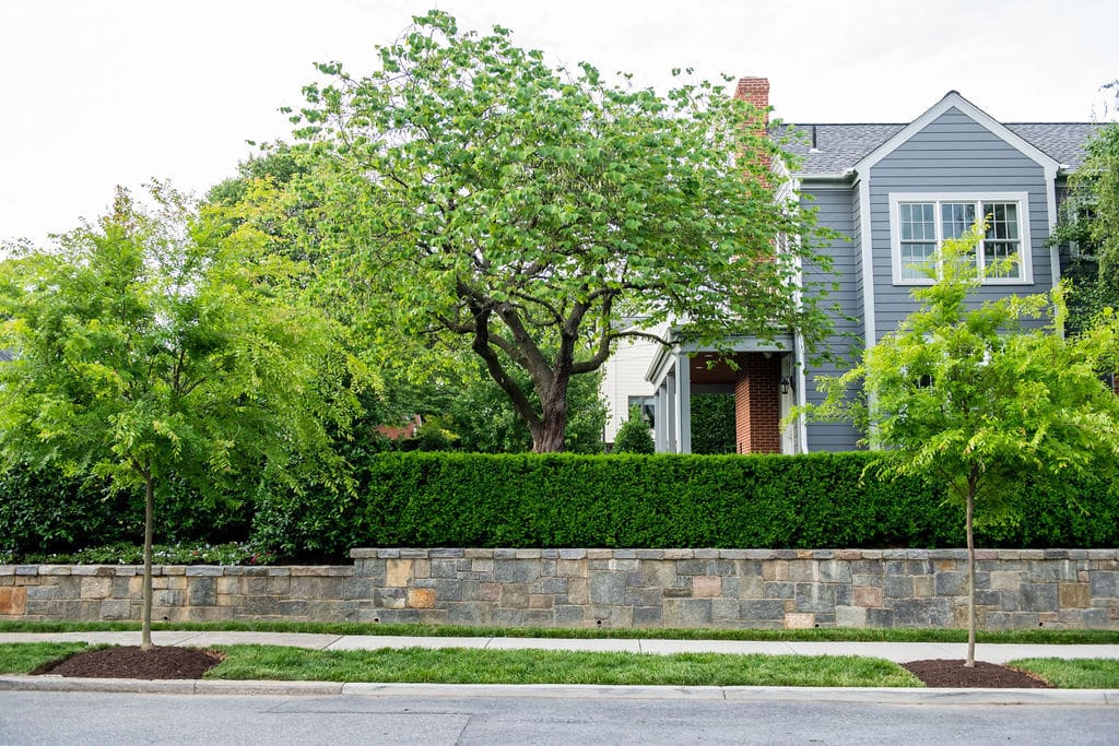 Historical Upgrade - D. A. Dunlevy